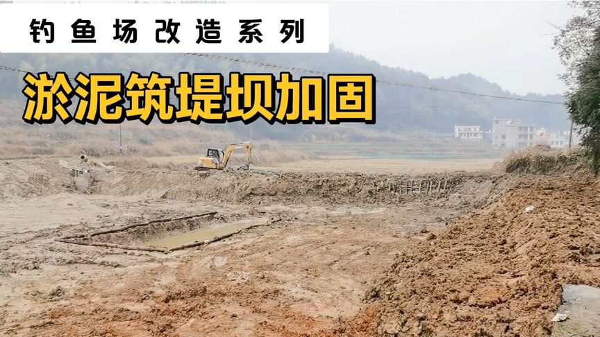 计划低成本改造鱼塘,结果超预算好几倍,归咎于塘泥筑坝。