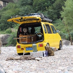 小黄的流浪日记 