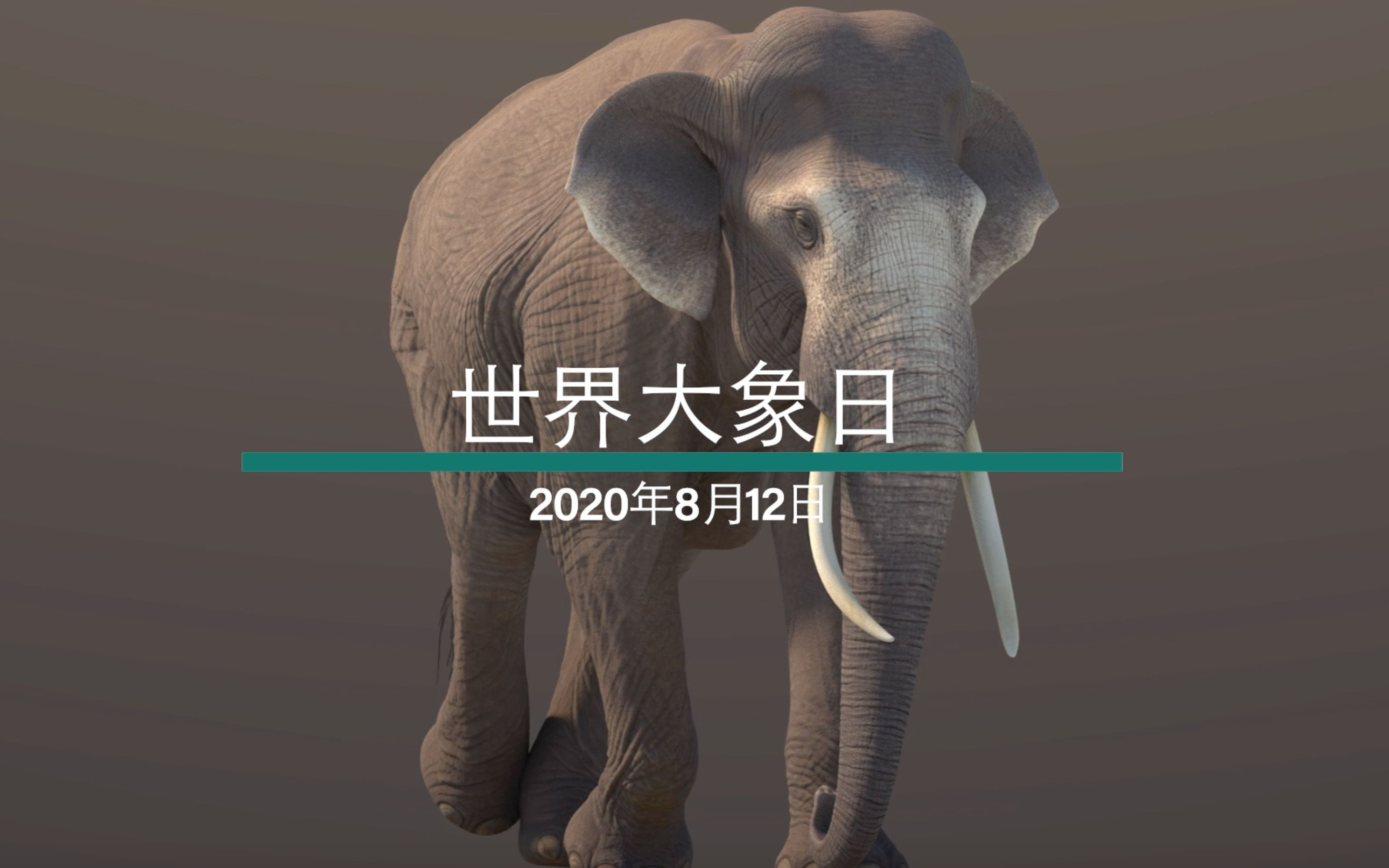 【世界大象日】亚洲象能相隔10公里与同类“聊天”?本集演员:CG...