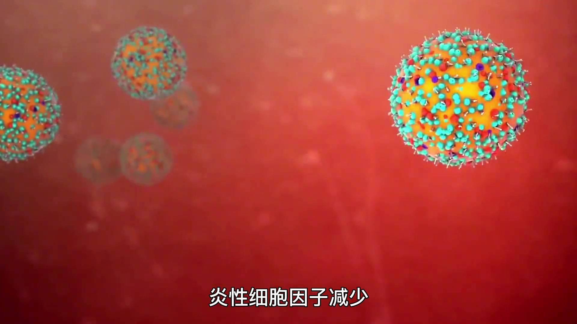 你体内免疫系统与病毒的战争进行到了哪一步?