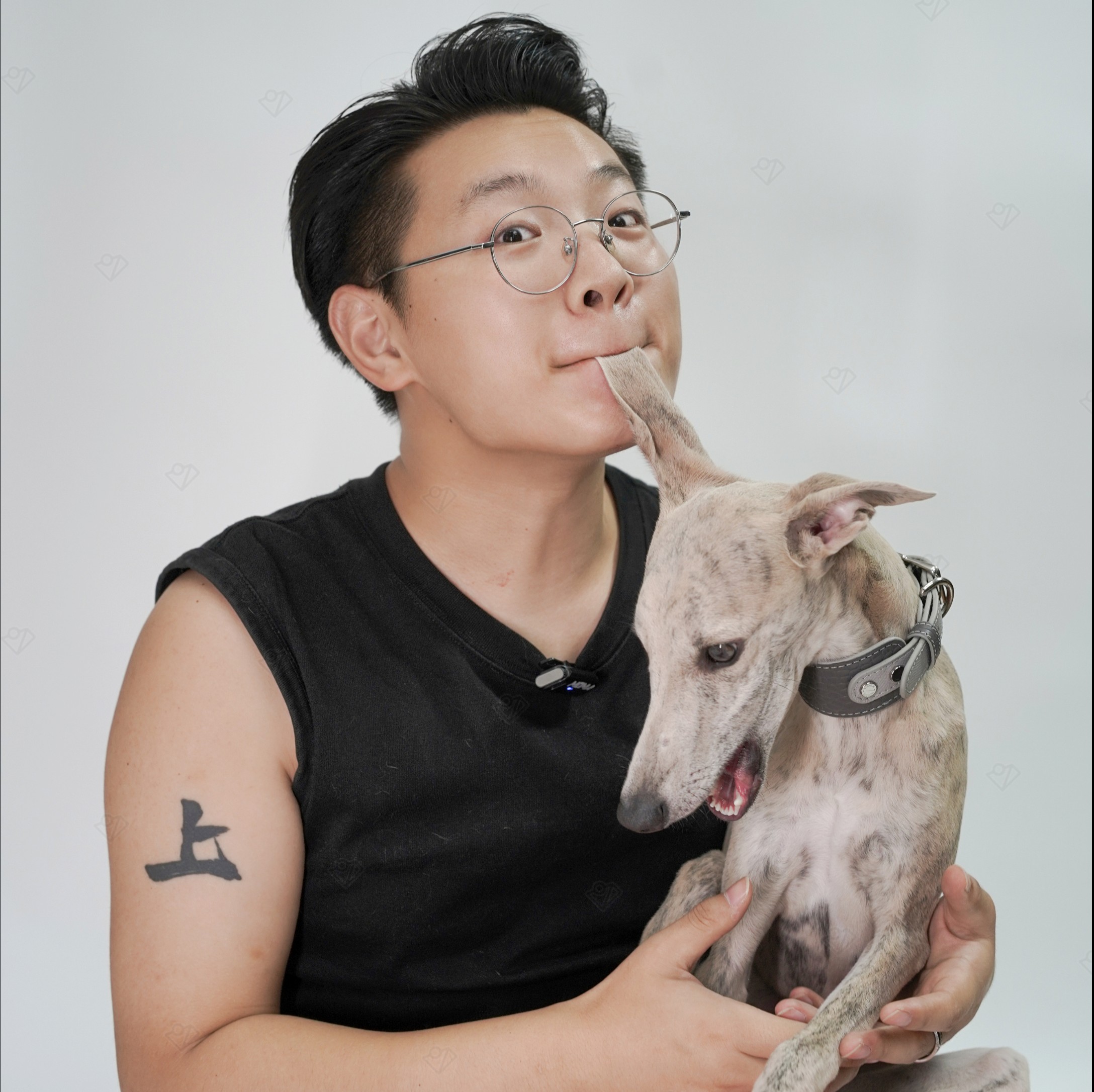 治上有干货 