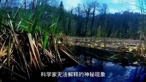 科学无法解释的事件--百慕大虫洞
