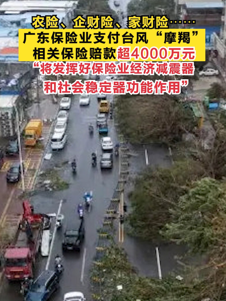 将切实发挥好保险业经济减震器和社会稳定器功能作用