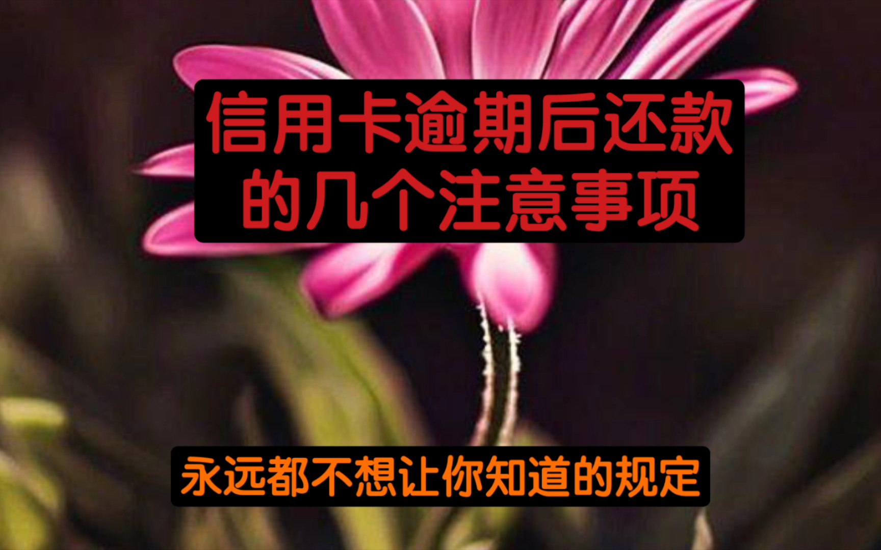 信用卡逾期后还款的几个注意事项