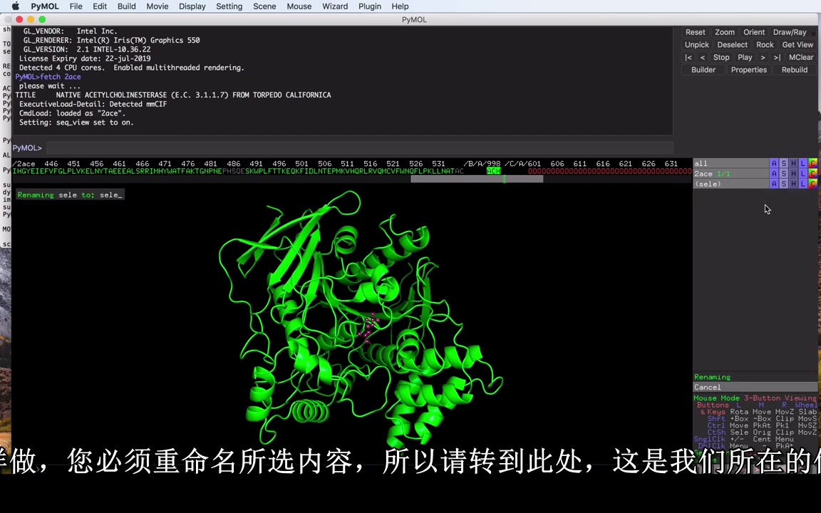 PyMOL: 几分钟展示活性位点(自动识别的中文字幕-高能 哈哈)