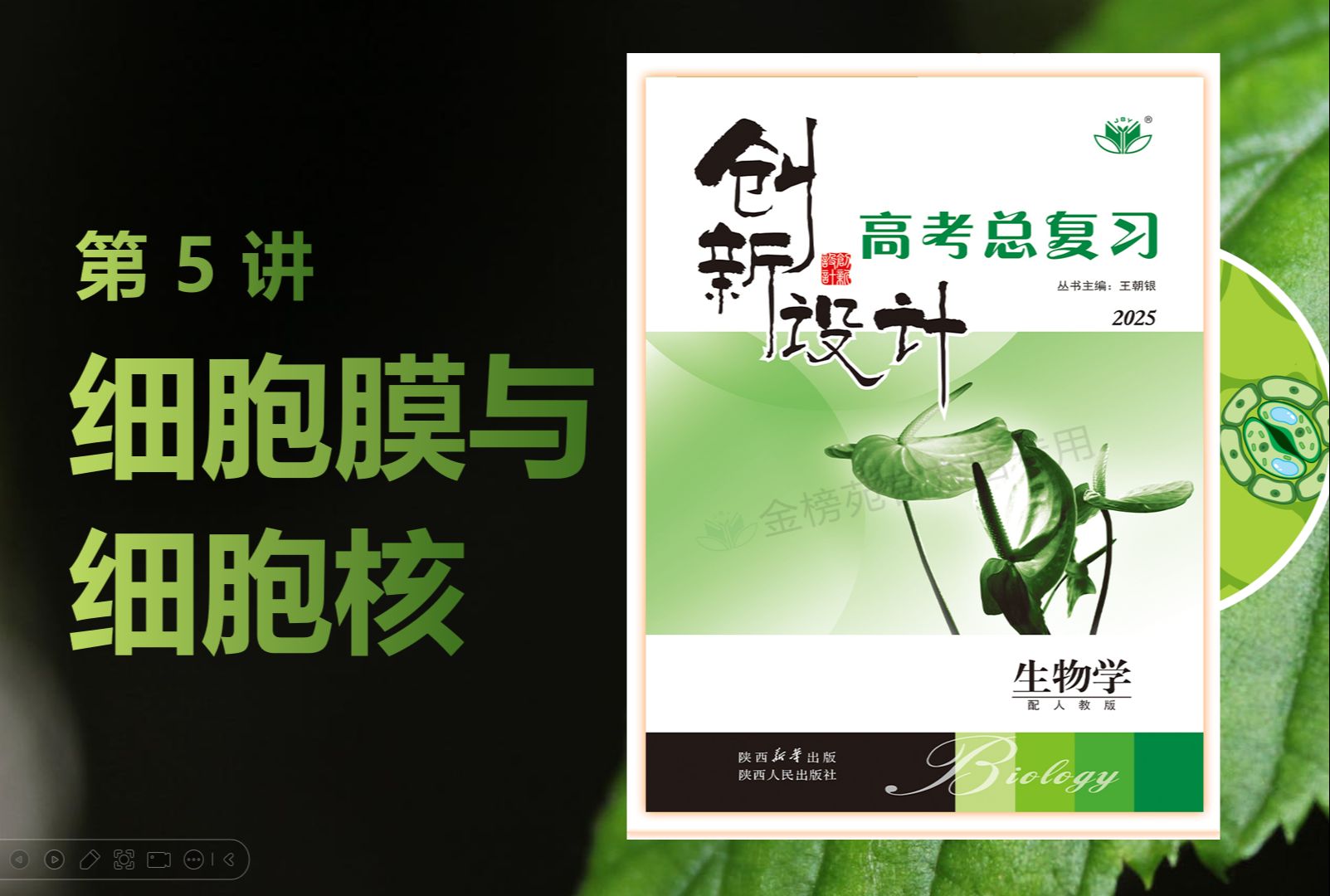 【2025高中生物一轮复习】5讲1细胞膜 新高考创新设计全国通用新...