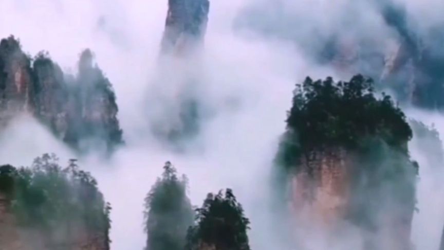 看不同的风景,看不同的人和事,张家界的山水之旅,让人一生难忘