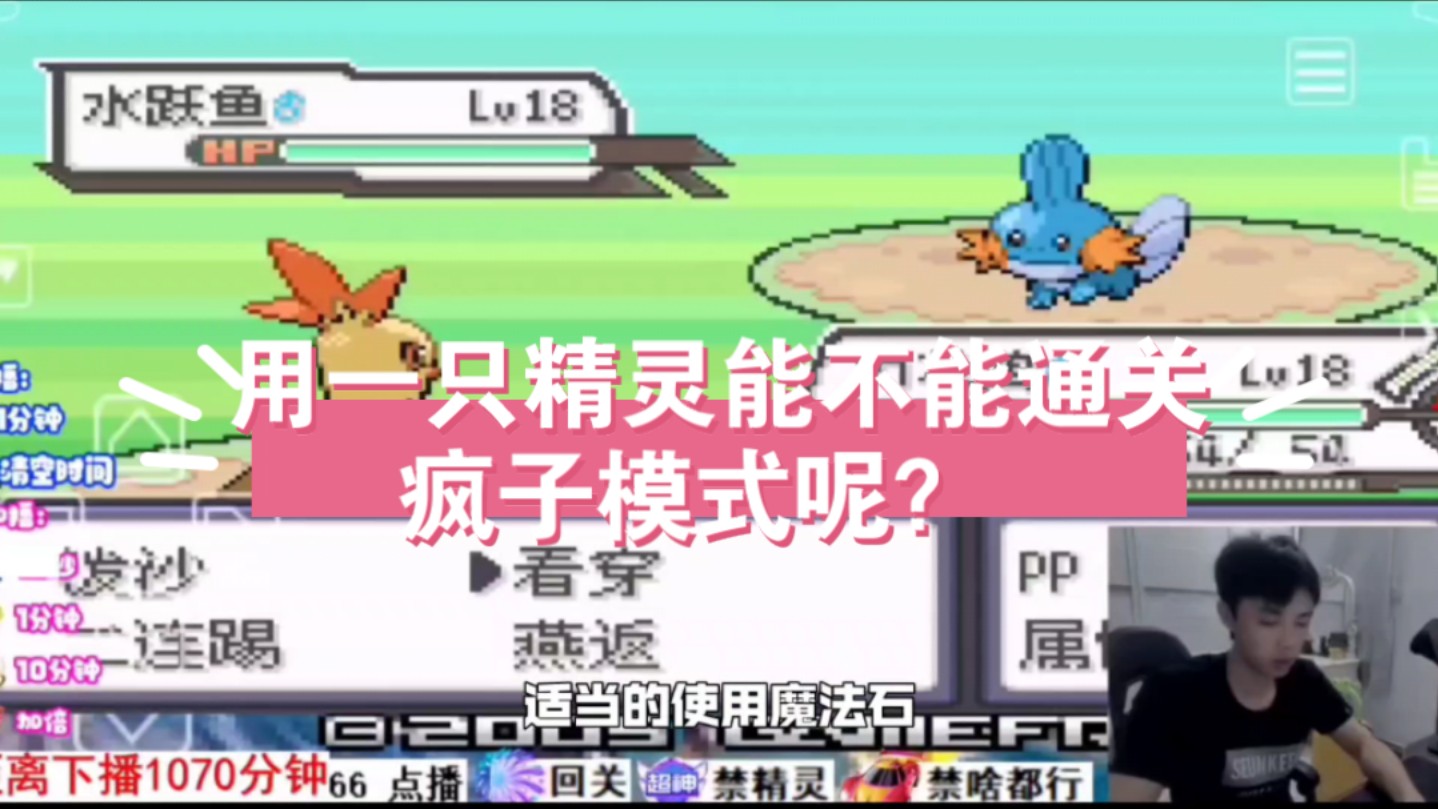 用一只精灵能不能通关疯子模式呢? #口袋妖怪 #口袋妖怪究极绿宝石5 ...