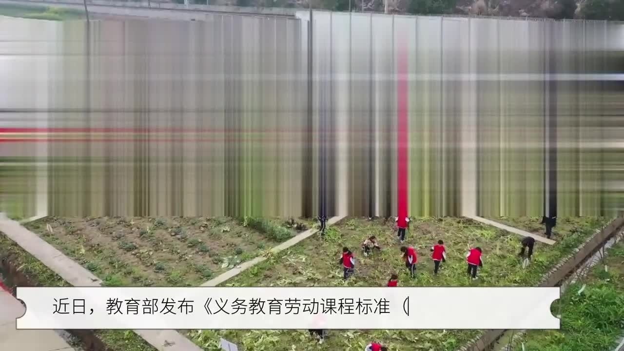 顾建军:劳动教育应该成为学生成长的“必修课”