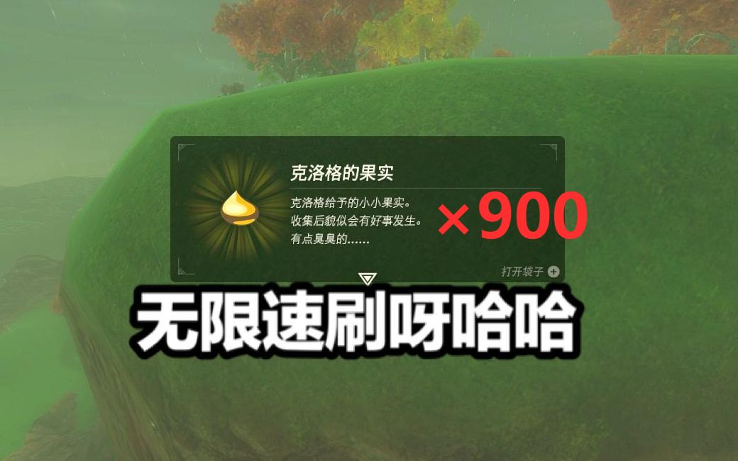 【塞尔达传说】无限速刷呀哈哈,快速扩大背包格子