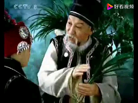[中国大陆广告] 贵州百灵咳速停2007年广告(CCTV8电视剧频道版)