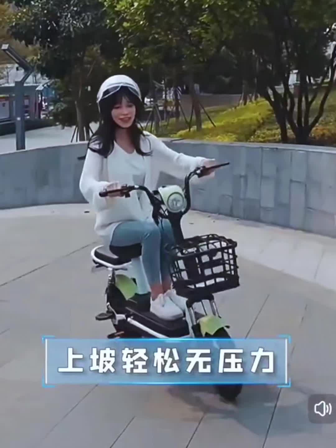 新国标电动车可上牌2025新款长续航代步电瓶车男女成人电动自行车#...