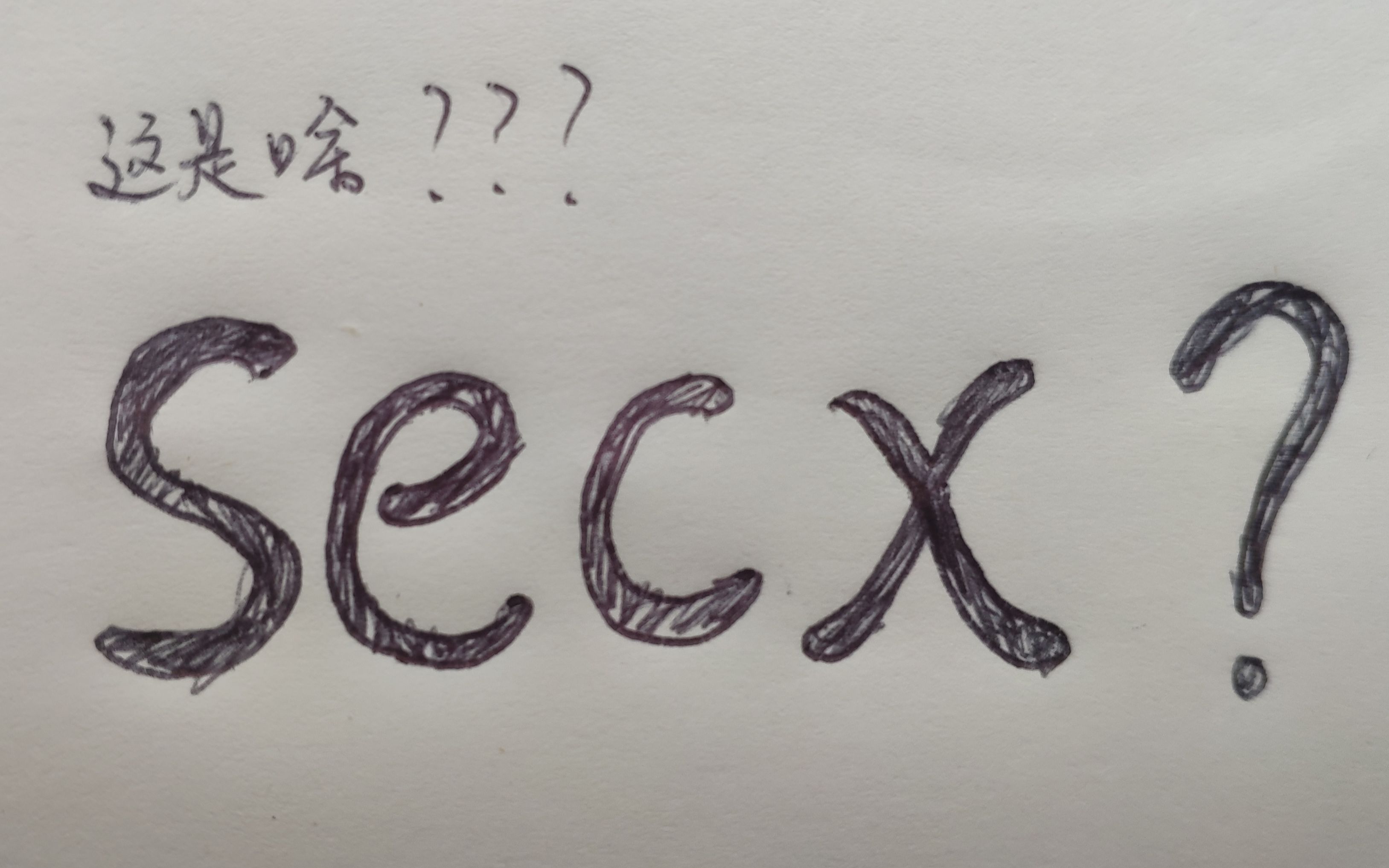 secx?他到底怎么读？你又了解他多少呢？