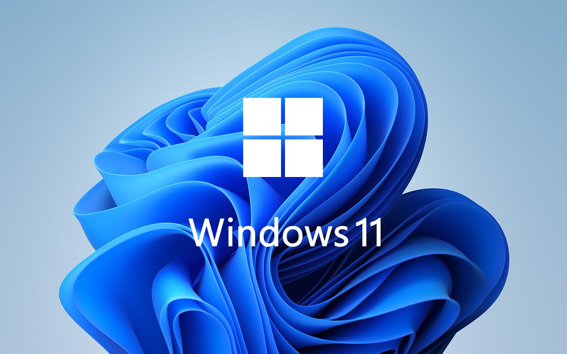 【Windows11速览】设置 | 系统 | 存储