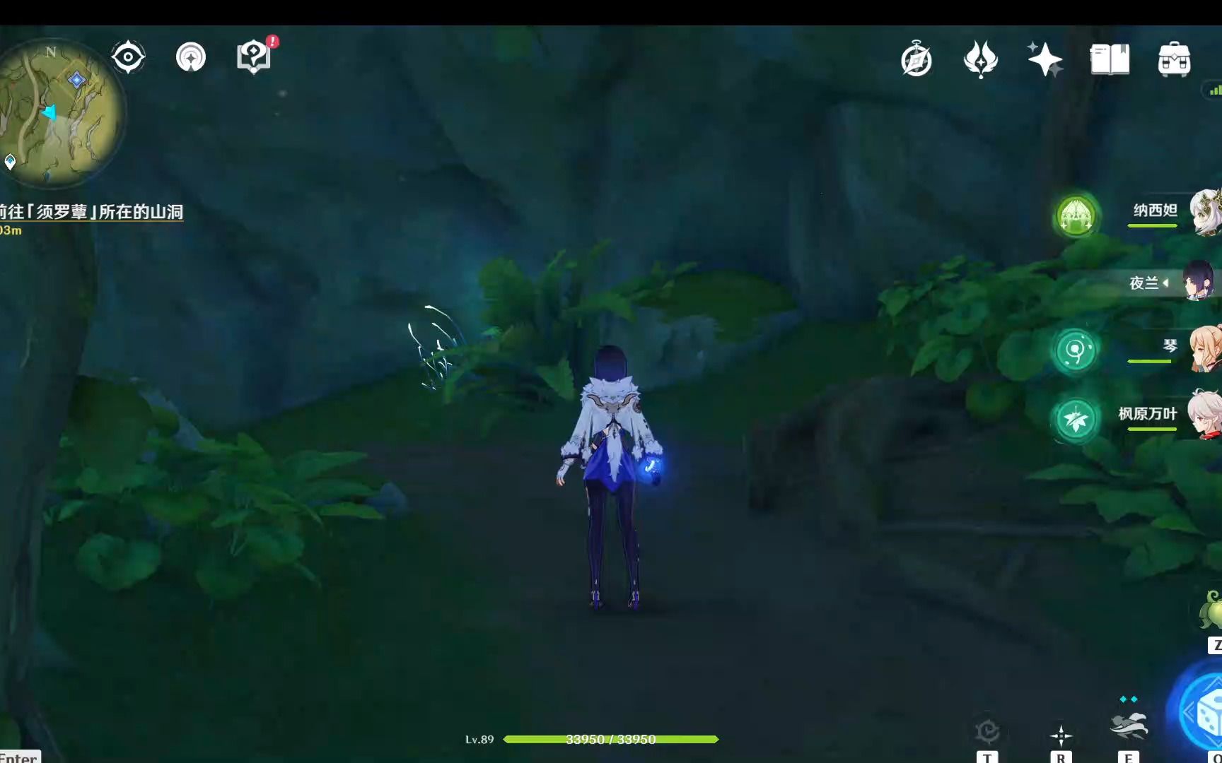 原神森林书_原神