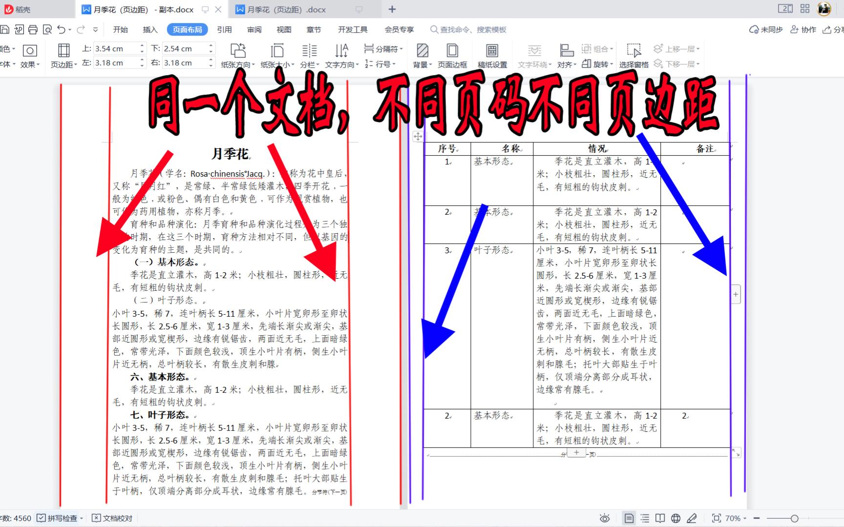 WPS文档如何单独设置某一页的页边距？同一个文档设置不同页边距