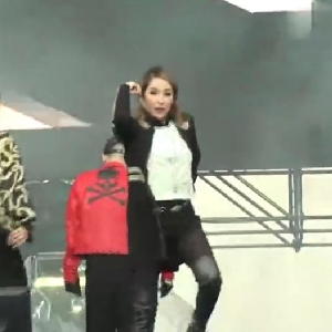 小星星爱摇尾巴 