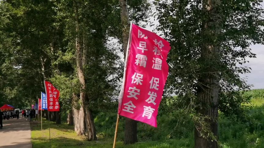 #振兴乡村 助力国家粮食安全,确保农业增产,农民增收