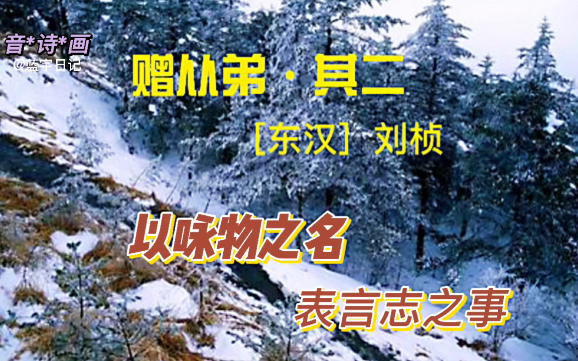 ...物之名,表言志之事-刘桢《赠从弟·其二》-八年级语文上册必背古诗词