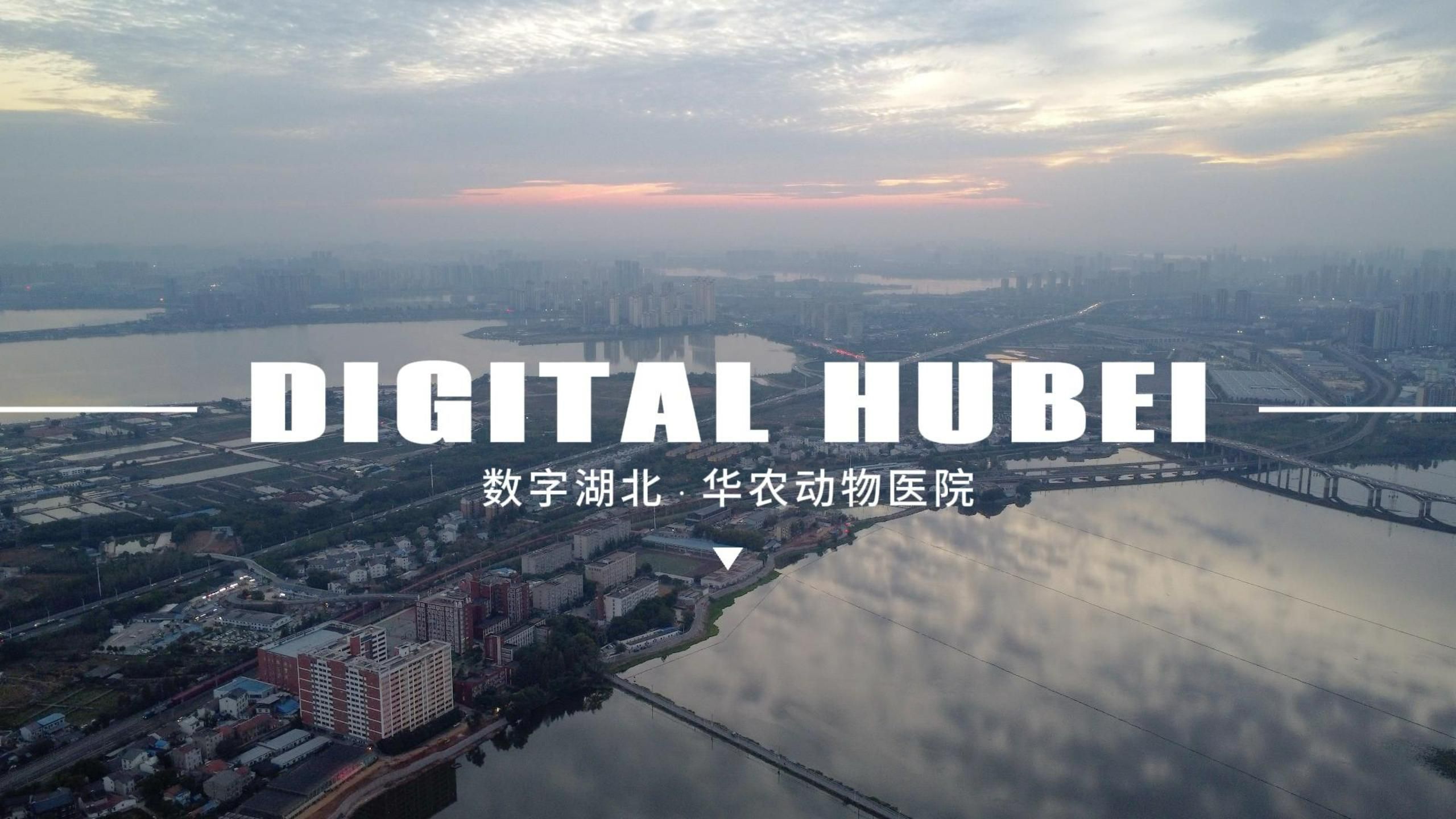 数字湖北-华中农业大学动物医院