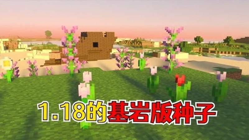 我的世界:1.18中的基岩版种子,三重林地府邸