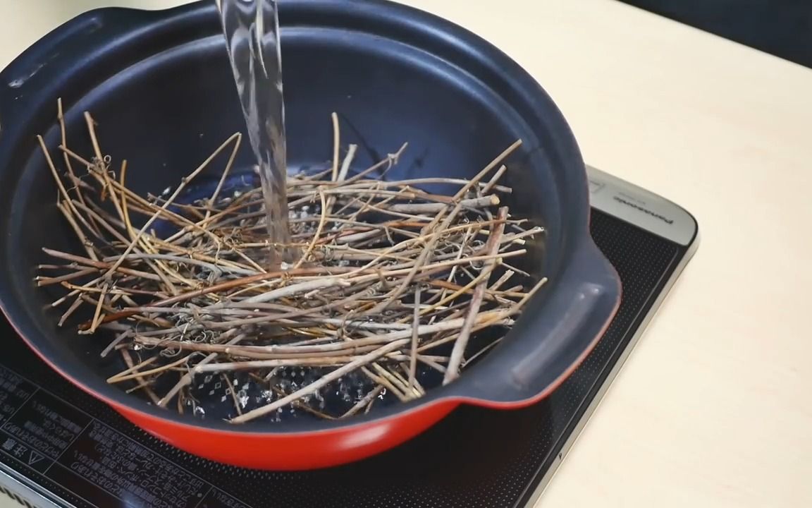 微缩景观(水陆缸、生态缸、雨林缸)造景——“煮”出来的“雨林”
