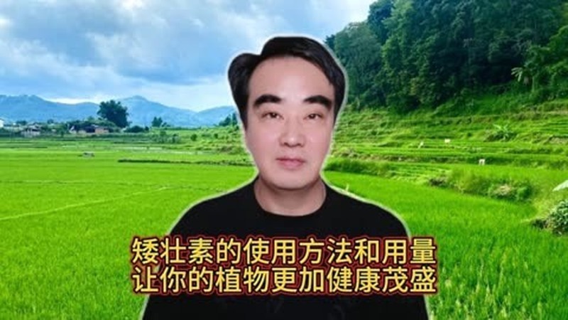 矮壮素的使用方法和用量:让你的植物更加健康茂盛