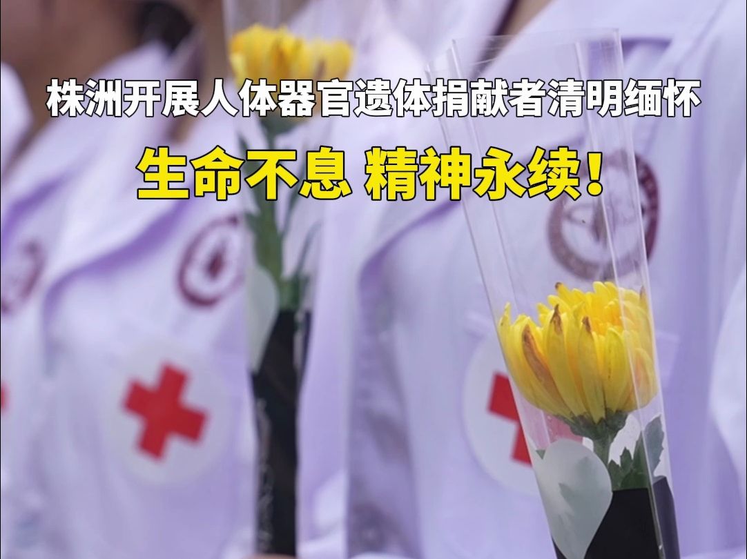 ...株洲市红十字会组织开展“生命·礼赞”2024人体器官遗体捐献者清...