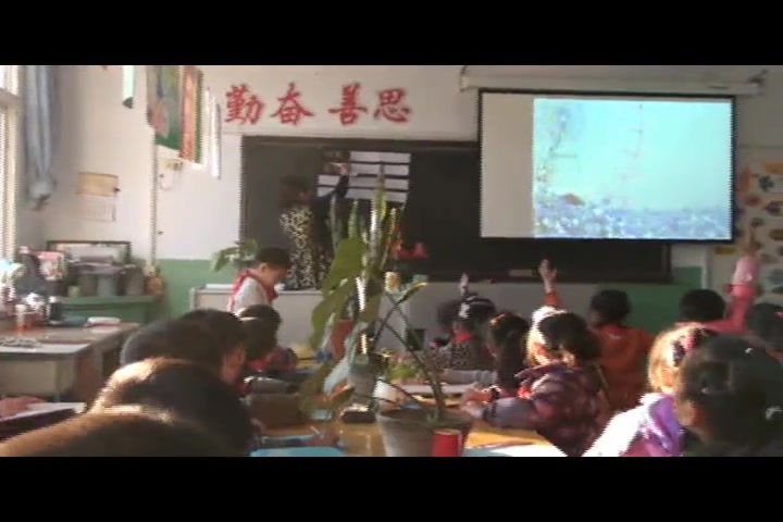 人教版小学美术三年级上册《第10课 美丽的花》河北陈老师优质课...