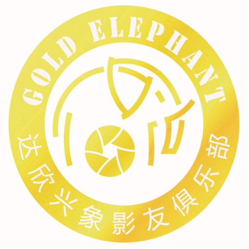 达欣兴象-尼康专卖 
