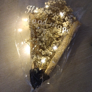 kame柯 