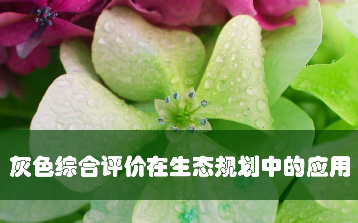 灰色综合评价在生态规划中的应用