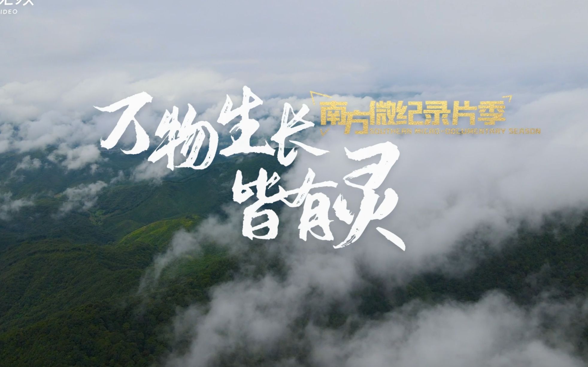 微纪录片里的广东!追寻濒危野生动植物的足迹,感受万物生长皆有灵