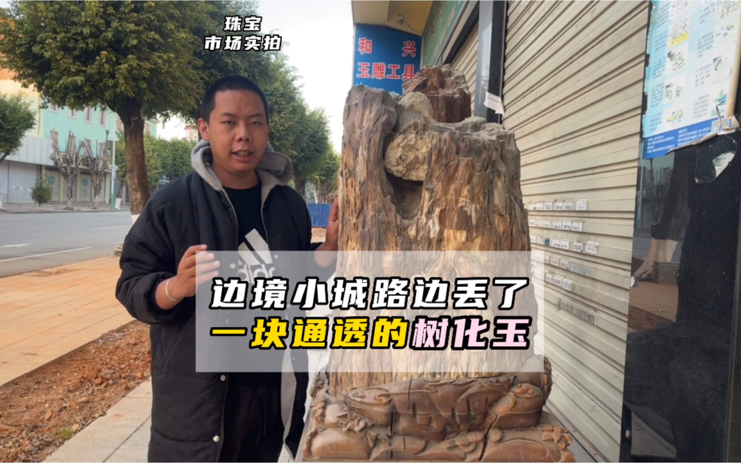 边境小城路边丢了一块通透的树化玉