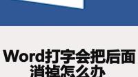 word打字会把后面字消掉怎么办