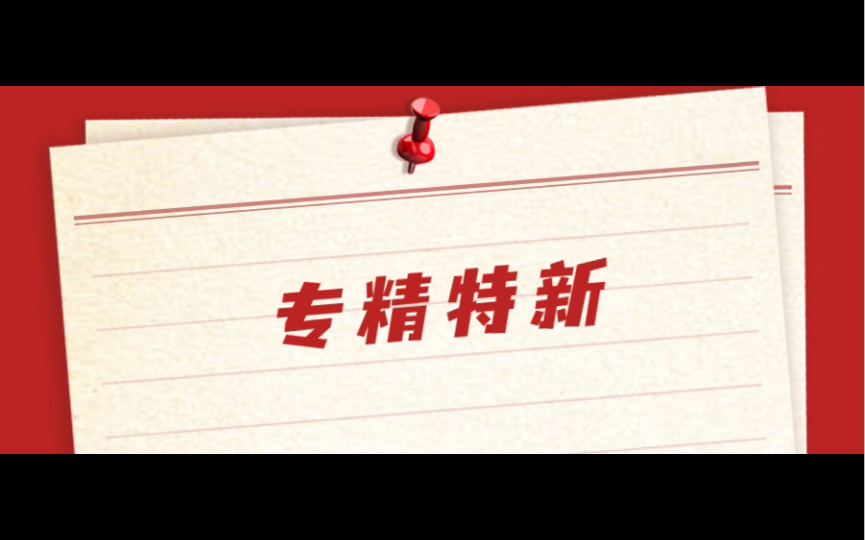 专精特新小巨人申报评审标准