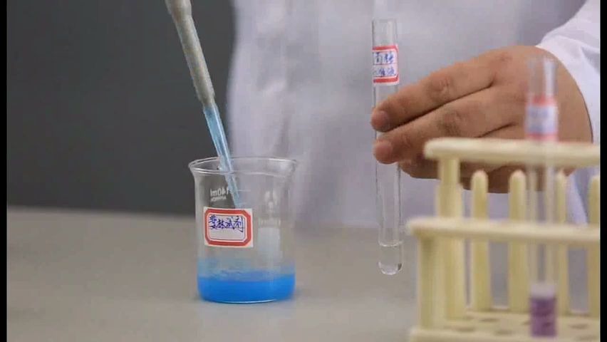 ...必修一教材实验全套视频 - 2.检测生物组织中的糖类、脂肪和蛋白质