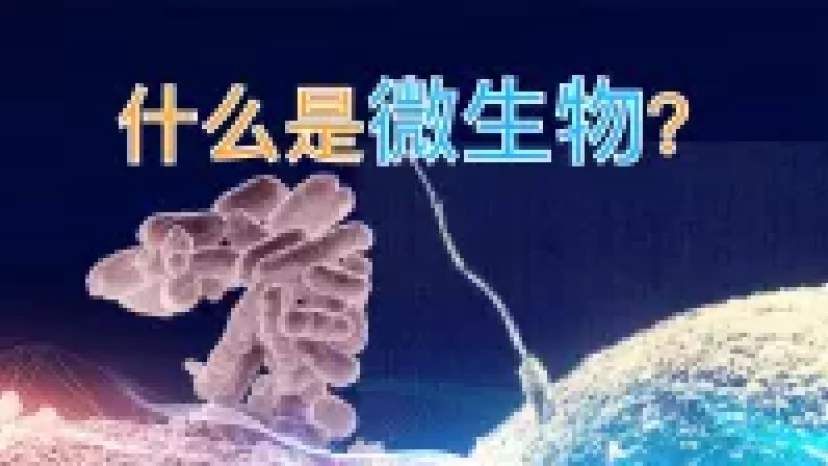 微生物是如何被发现的?什么是巴氏灭菌法?