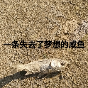 尼古拉斯凶兆 
