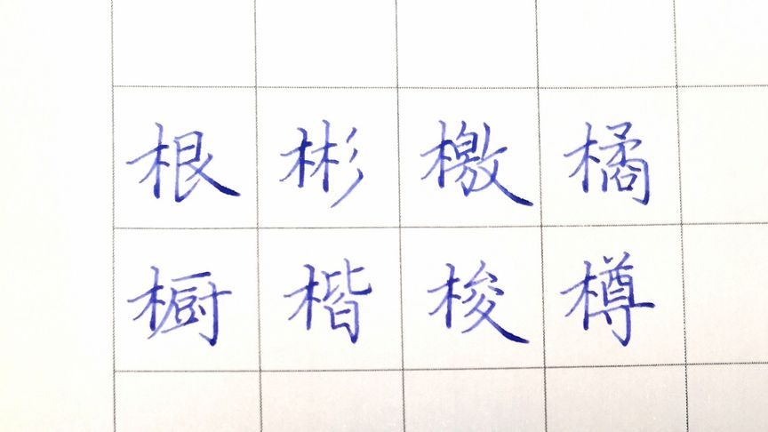 木字旁3,撇画不要写长,稍稍写轻一点