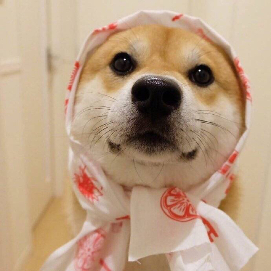 双重芝士番茄汉堡包 