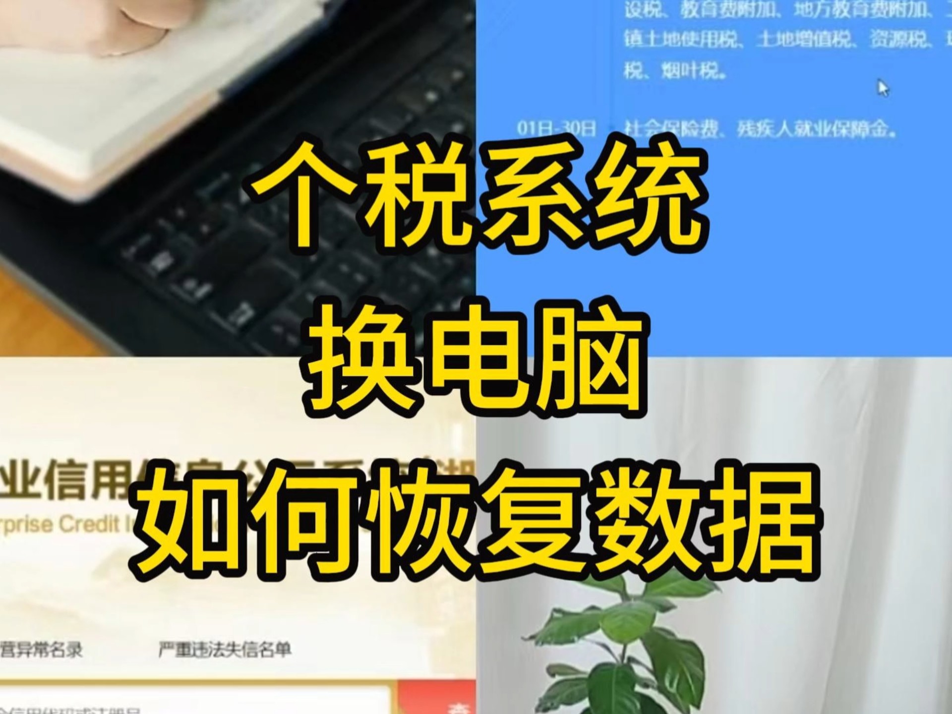 个税申报数据如何备份及迁移