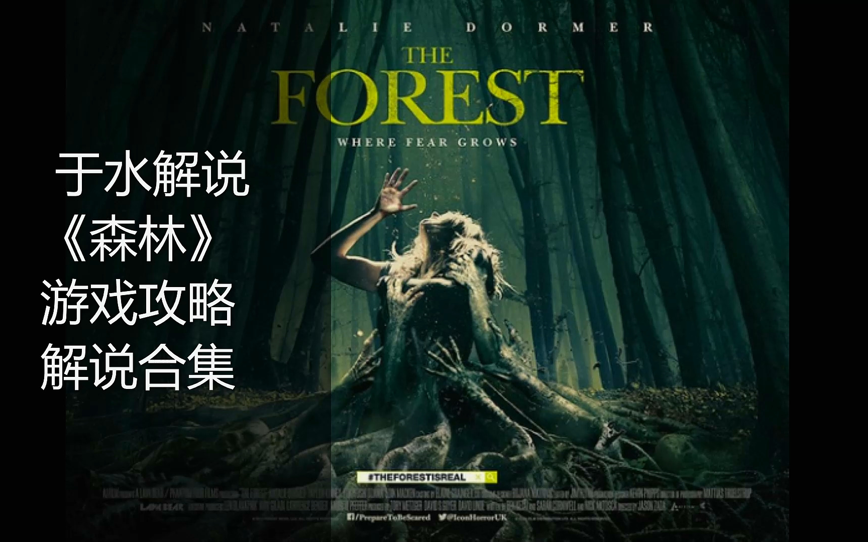 于水合集解说《森林》游戏攻略解说合集