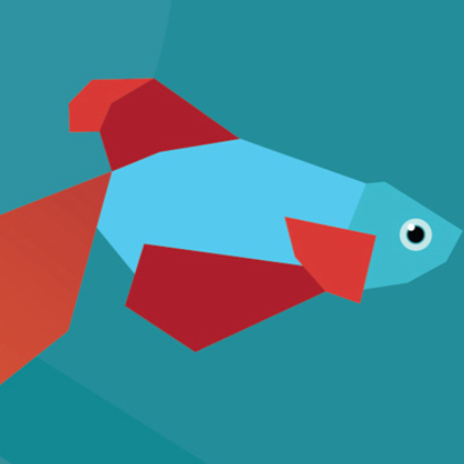 MS-Betafish 