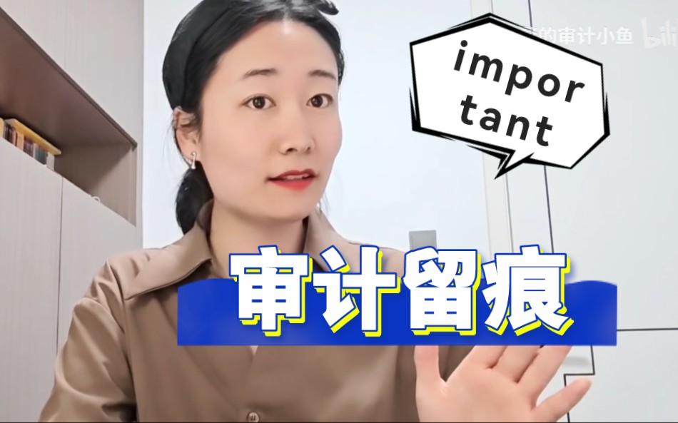 【会计、审计小白】口说无凭?审计留痕的重要性!