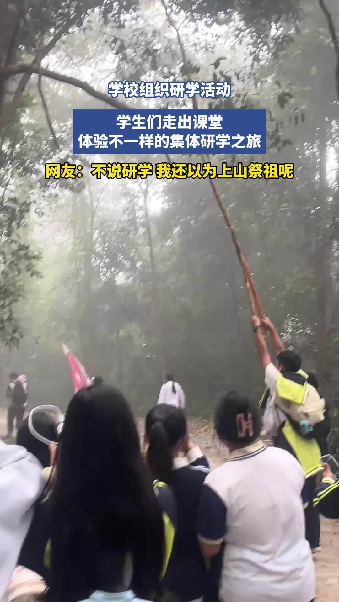 学校组织研学活动,学生们走出课堂,体验不一样的集体研学之旅