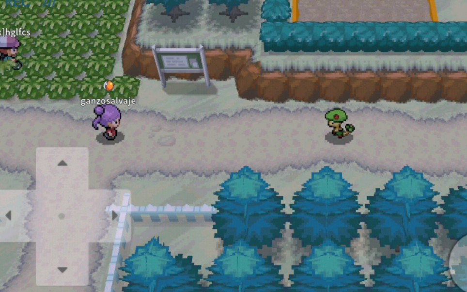 pokemmo宝可梦模拟器 变身成为宝可梦。