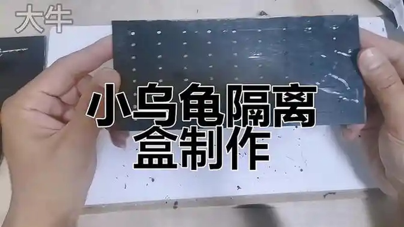 用黑色亚格力板制作小乌龟隔离盒