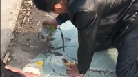 钢化玻璃用切割机切,下去的那一刻,好了我们可以收工了