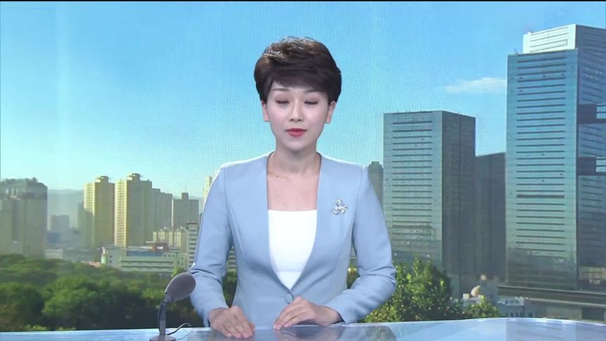 专家谈中医药治新冠肺炎:根据病人具体病情进行施治